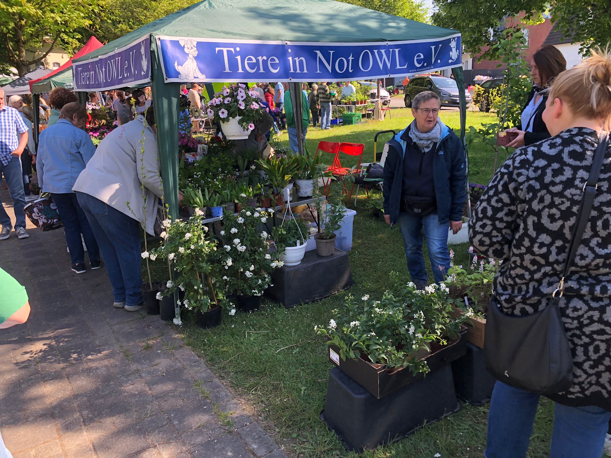 Tier in Not OWL - Startseite